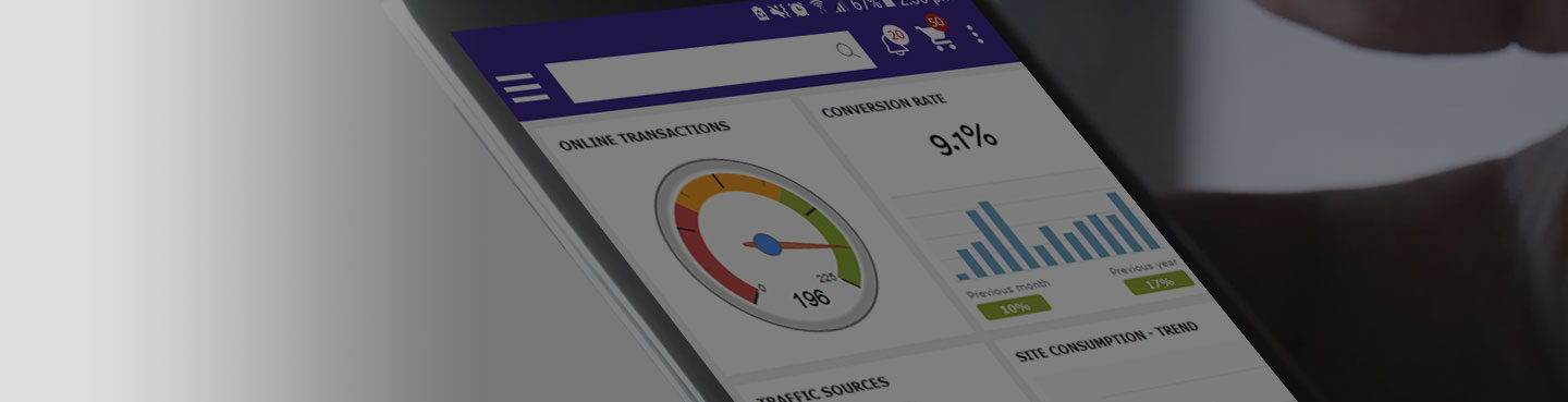 Online Reports System, Cloud Based Online Reports Software, Web/SaaS ...